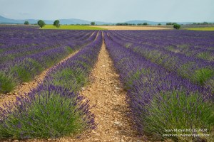 Tout savoir sur le cadrage en photo – Emotions numériques
