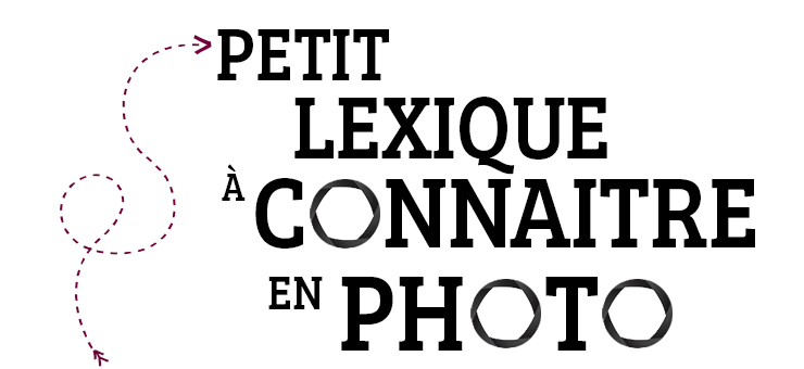 Le lexique photo – Emotions numériques