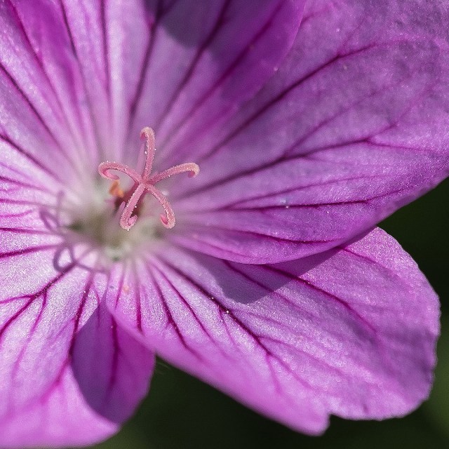 Un lecteur à l’honneur : Patrick Lelièvre – Emotions numériques